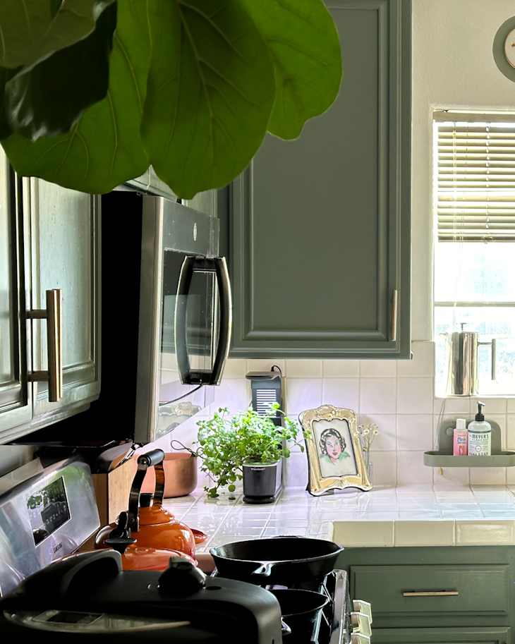 Before & After: Green Cabinets Revive a “Stale ‘90s” Kitchen | The Kitchn